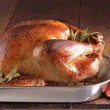 How to Cook a Turkey - Baby Gizmo