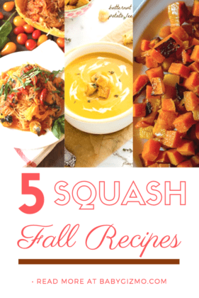5 Delicious Fall Squash Recipes – | Baby Gizmo