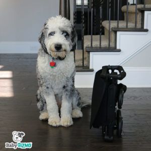 GB Pockit Stroller Review – | Baby Gizmo