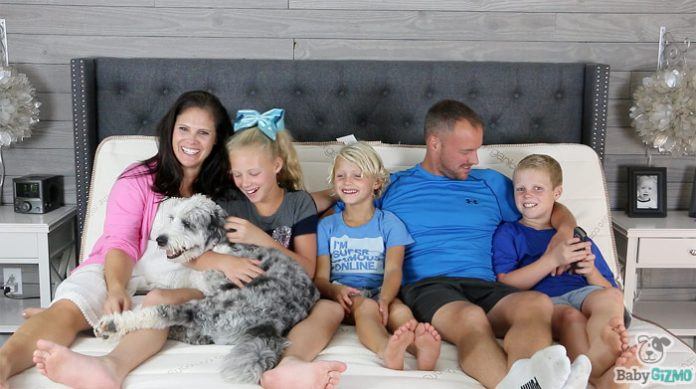 6 Important Tips for Buying a Used Stroller – | Baby Gizmo