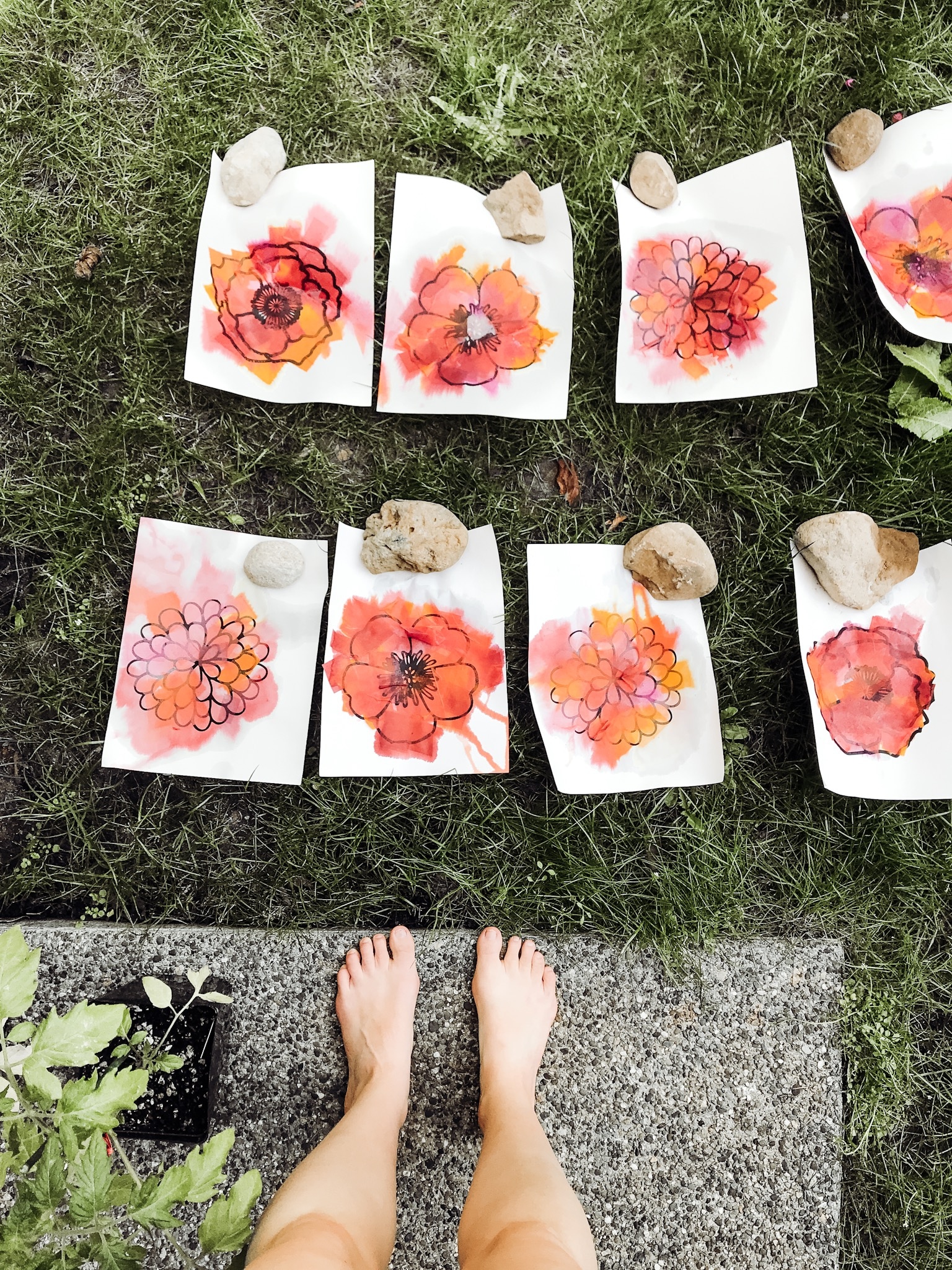 Water Spritz Flower Art Project – | Baby Gizmo