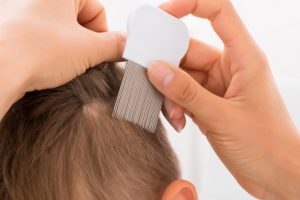 Lice 101 – | Baby Gizmo