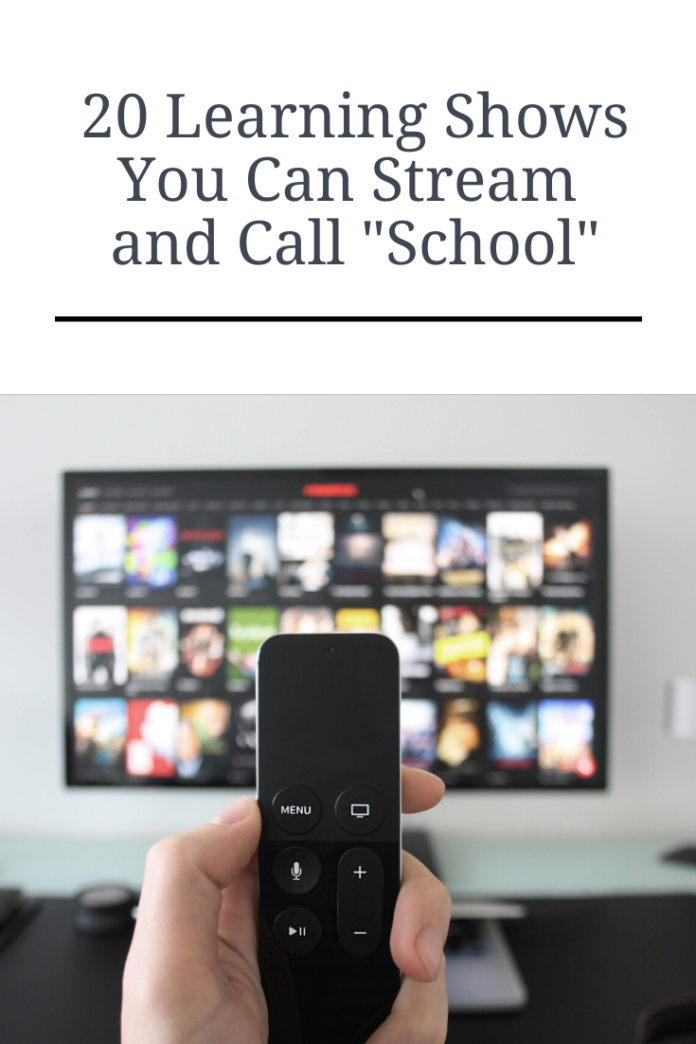 20 Learning Shows You Can Stream and Call "School" – | Baby Gizmo