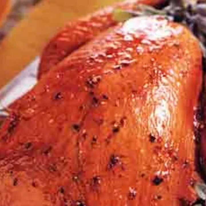 How to Cook a Turkey – | Baby Gizmo
