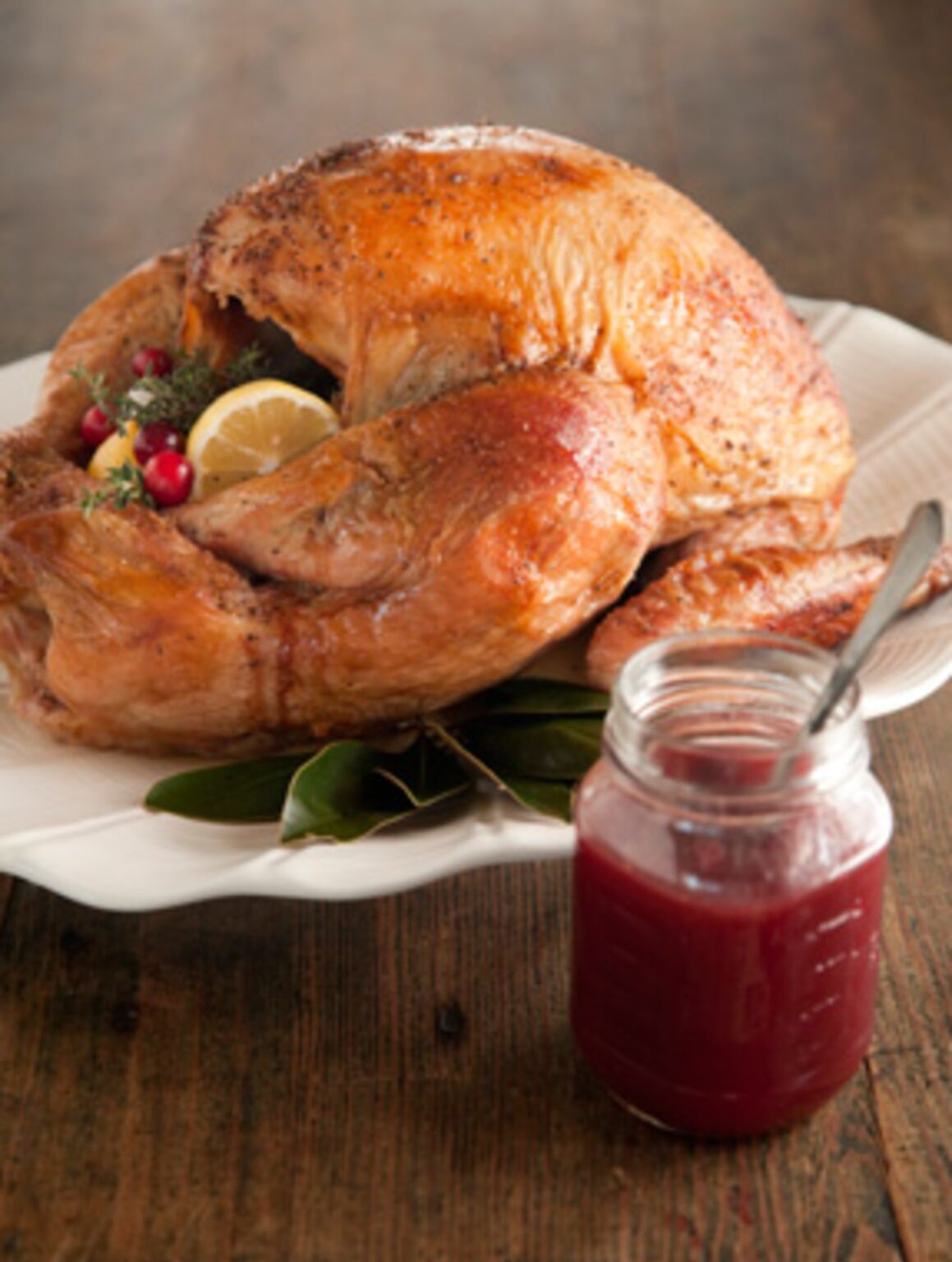 How to Cook a Turkey – | Baby Gizmo