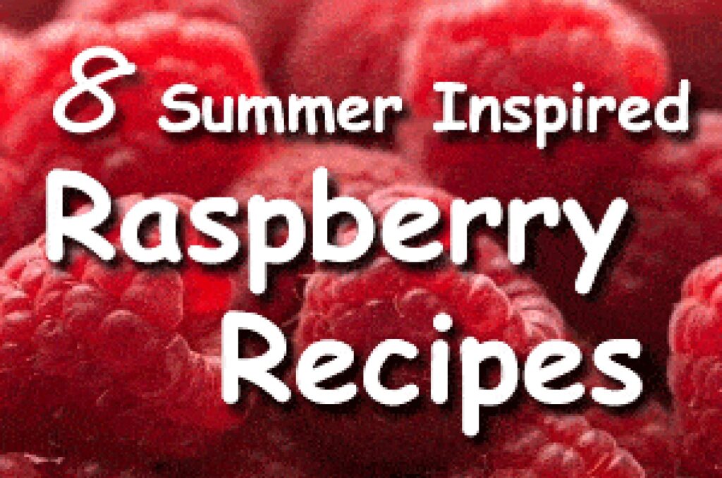 8 Summer Inspired Raspberry Recipes