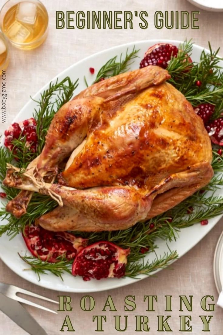 Beginner's Guide to Roasting a Turkey - A Baby Gizmo Company