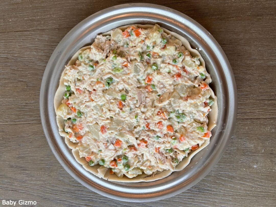 Easy Homemade Chicken Pot Pie Recipe | Baby Gizmo