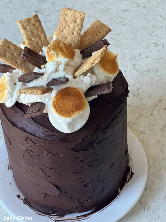 The Best S'Mores Cake – Baby Gizmo