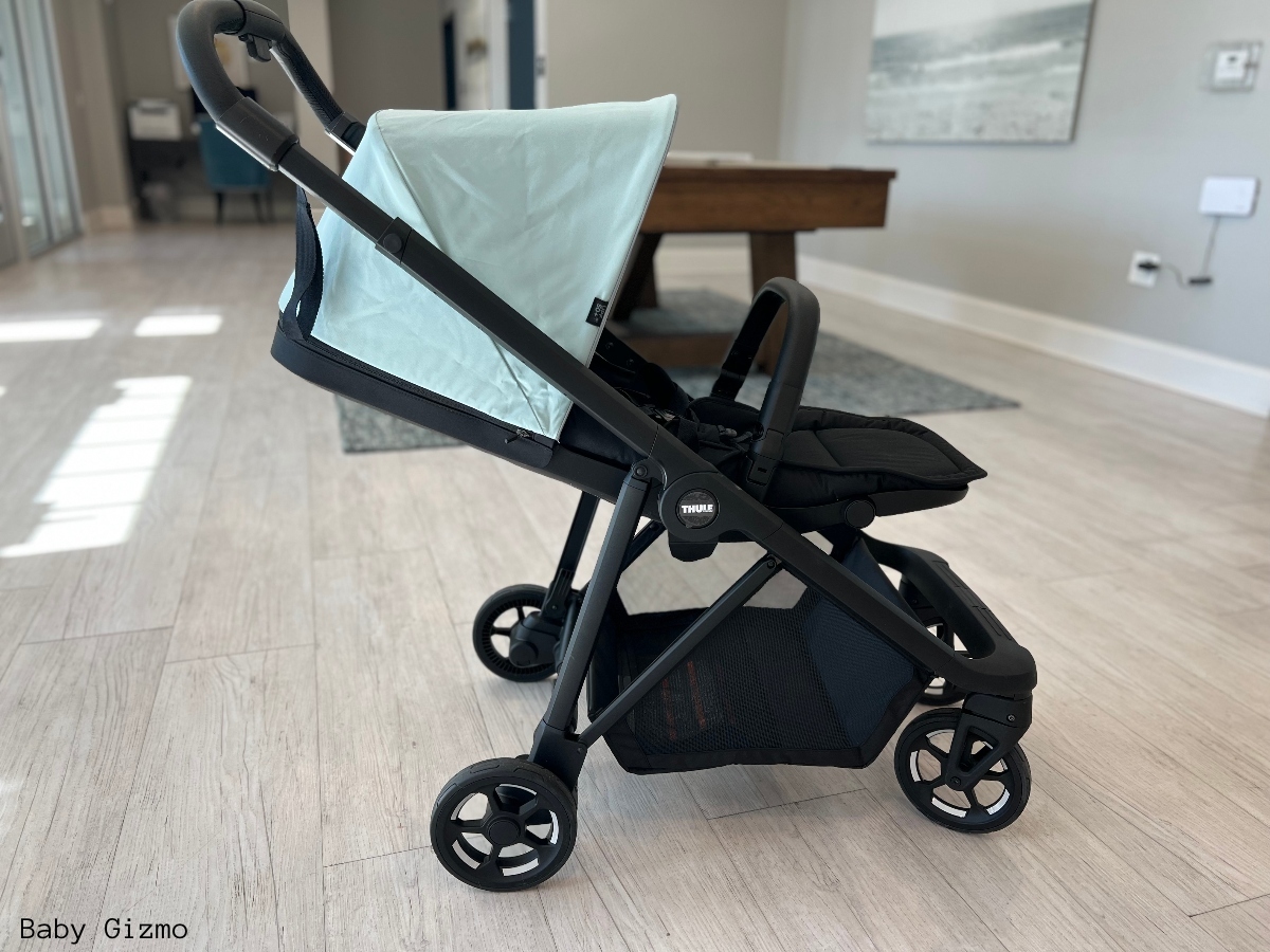 Thule Shine Stroller Review – Baby Gizmo